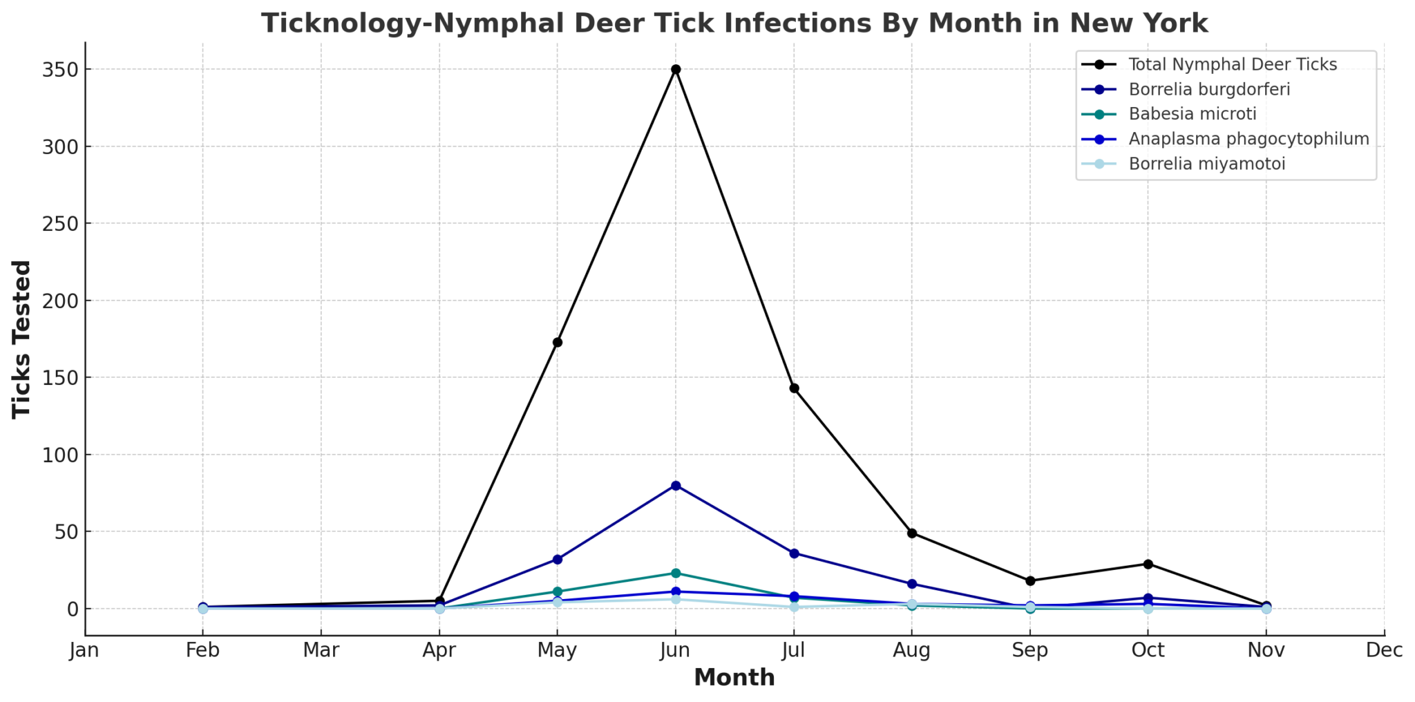 Laboratory Tick Testing - New York Tick Testing - Ticknology