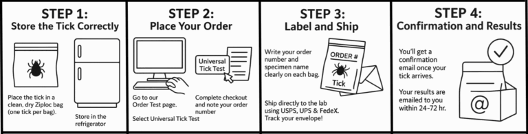 Step-by-Step Guide for Tick Testing | Ticknology Universal Tick Test